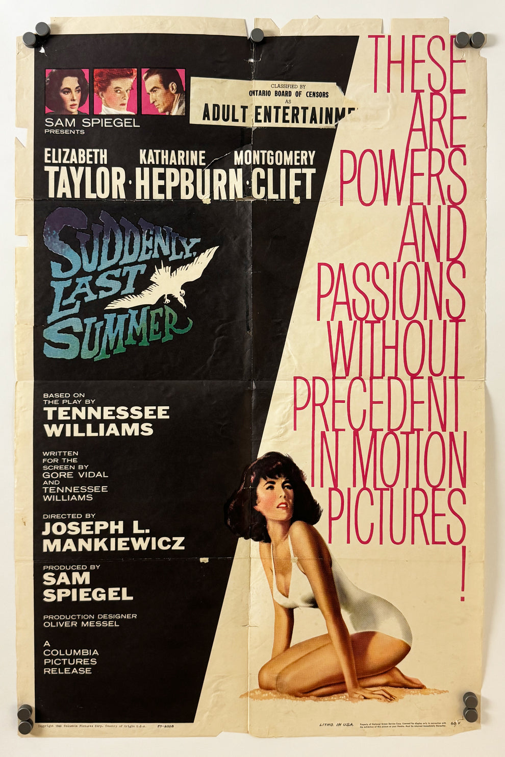 Original Vintage Suddenly, Last Summer Movie Poster